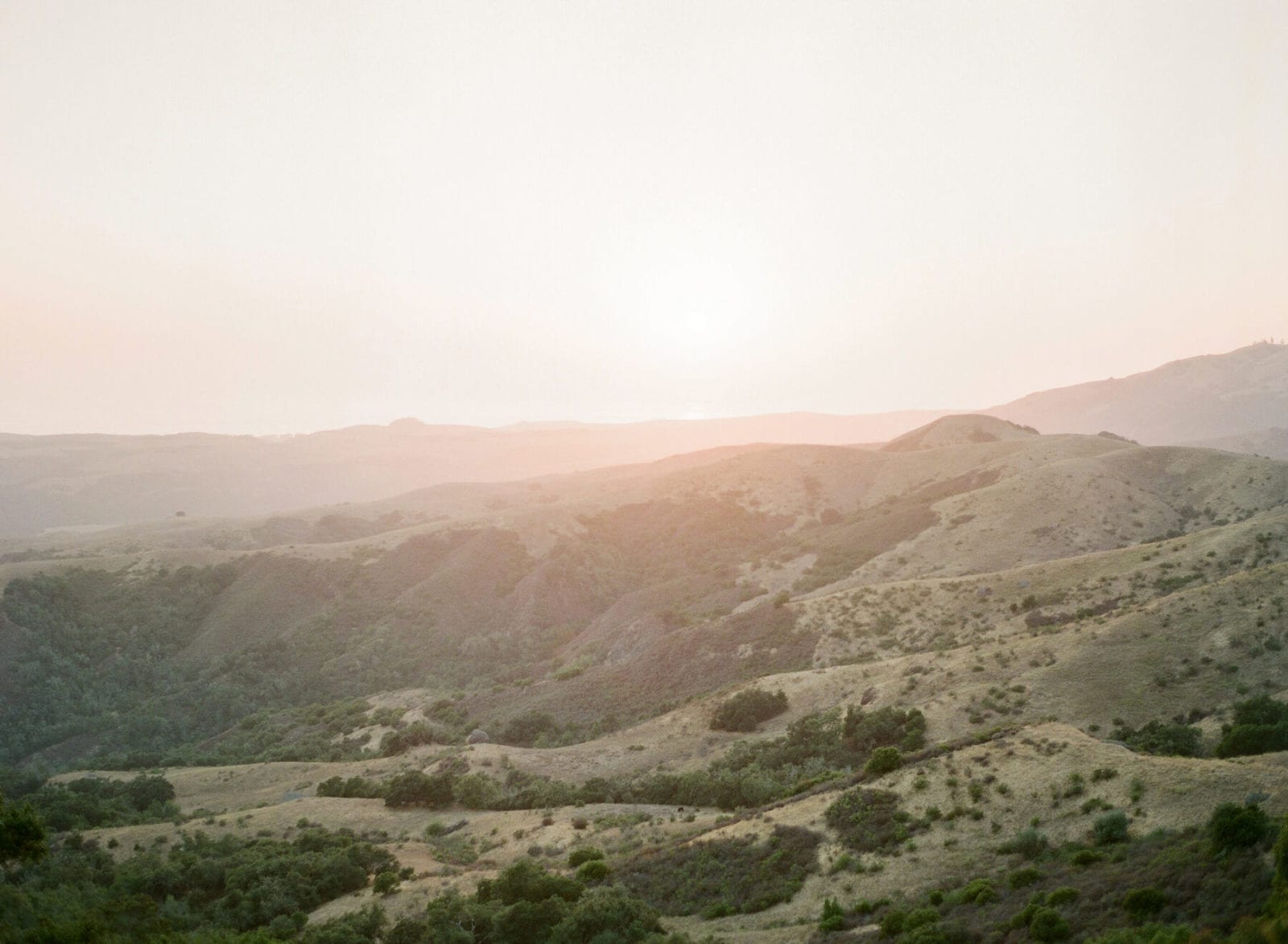Alexis Hearst's Wedding at Hearst Castle - KT Merry