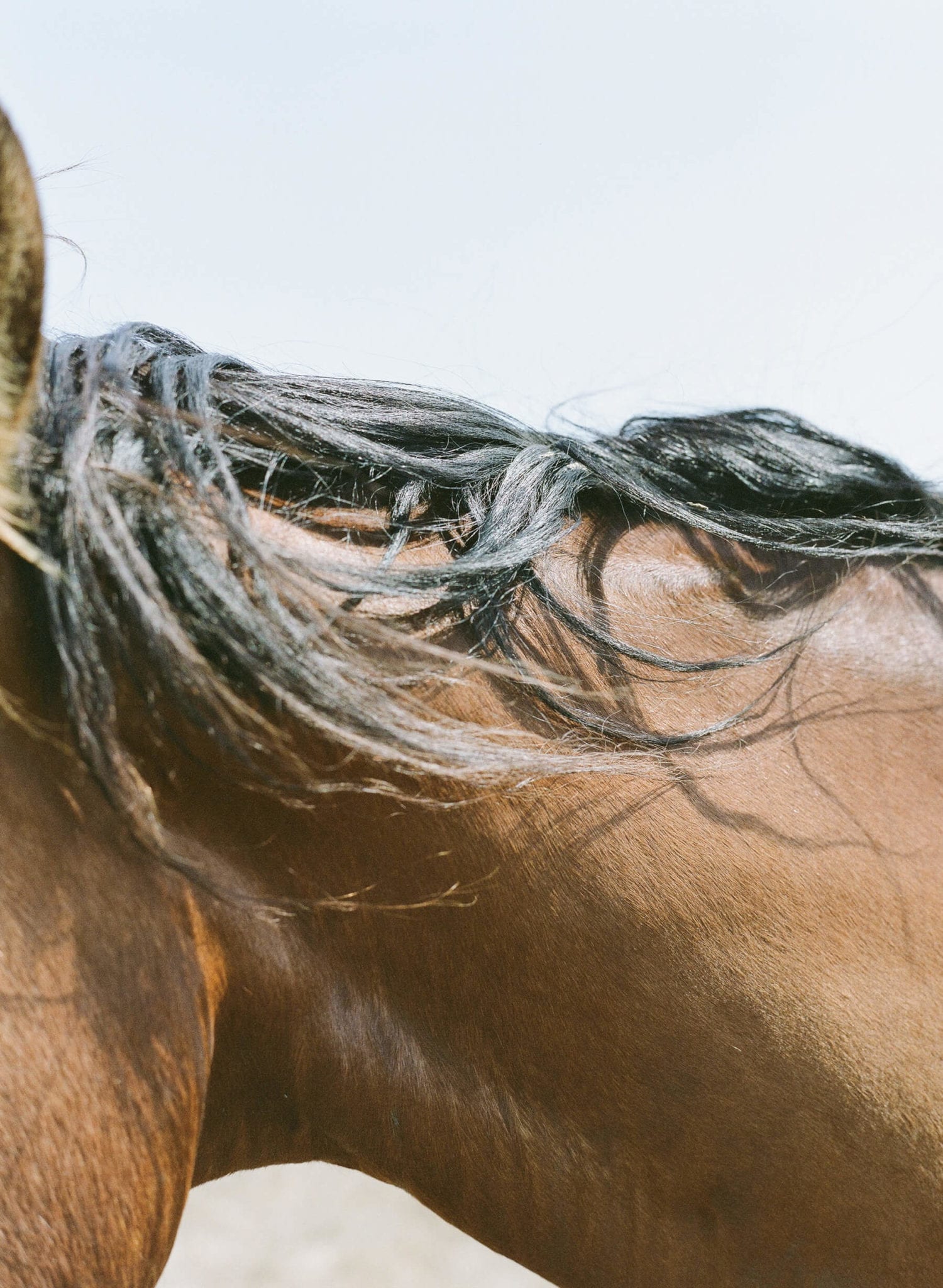 Alexis Hearst's Wedding at Hearst Castle - KT Merry