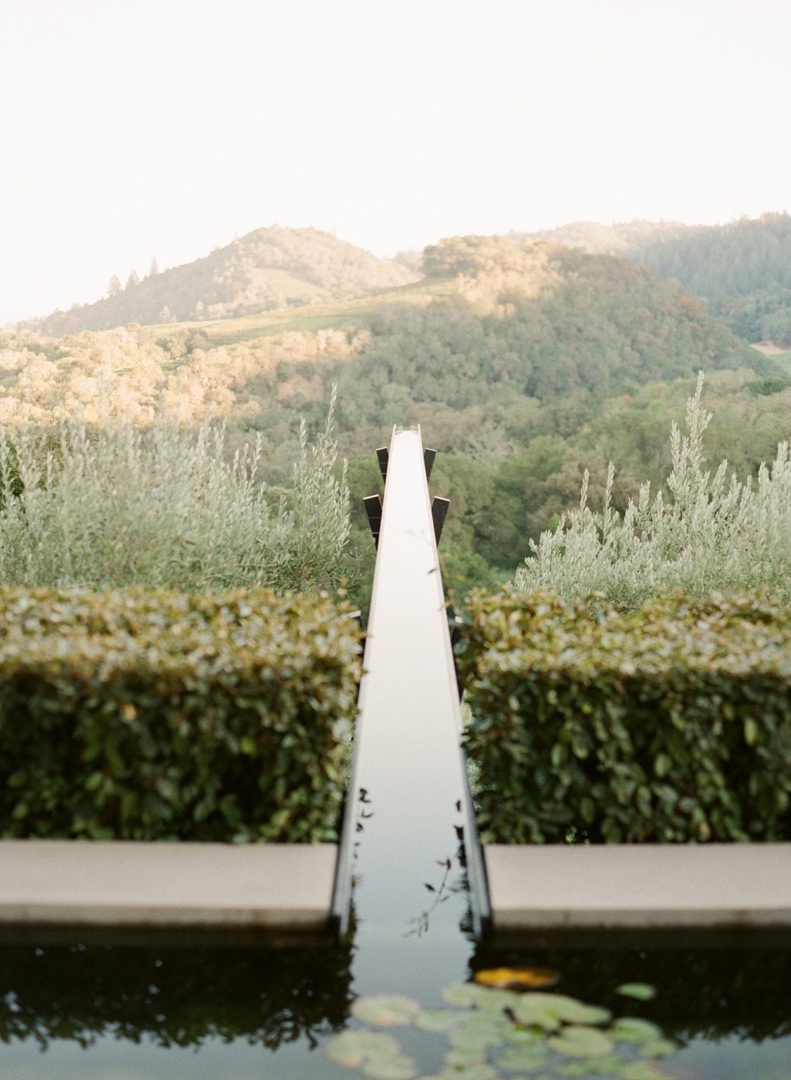 Iconic Napa Valley Wedding Venues Facing Climate Change - KT Merry