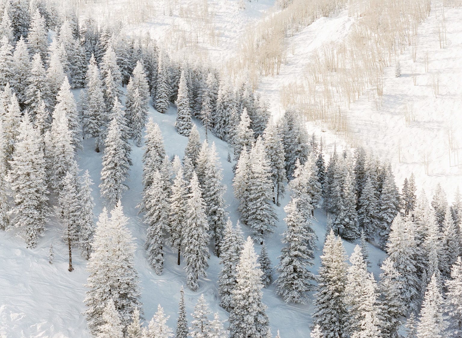 5 Tips to Create a Wonderful Winter Photoshoot