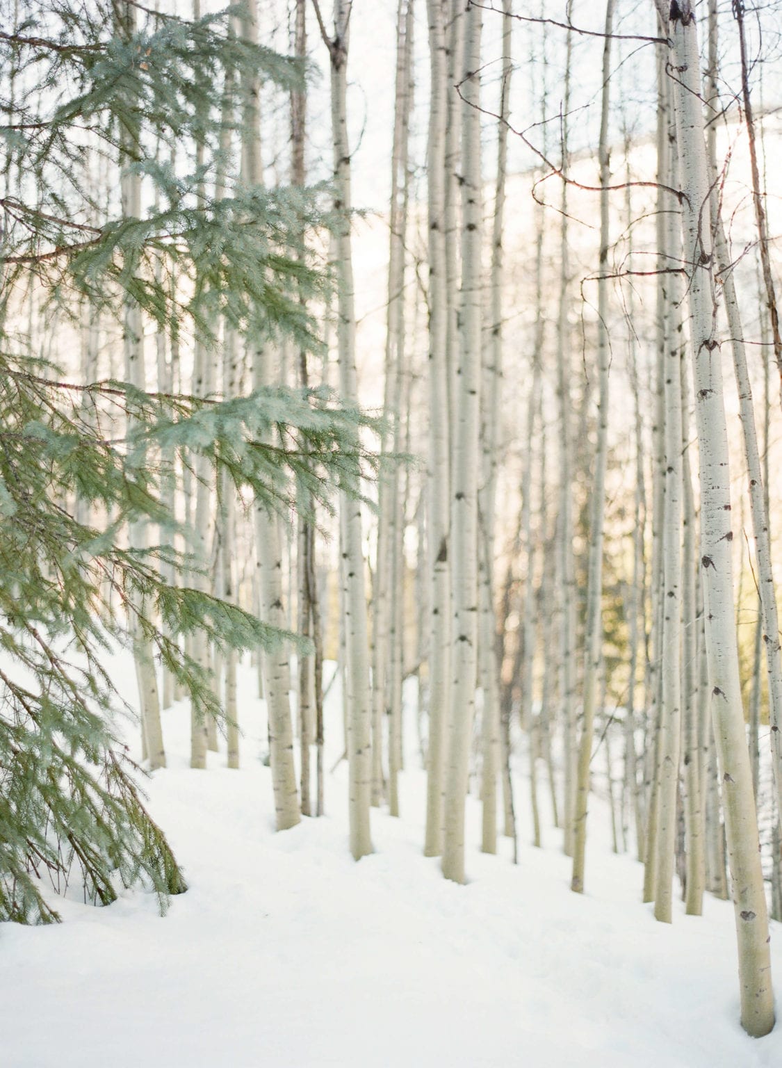 5 Tips to Create a Wonderful Winter Photoshoot