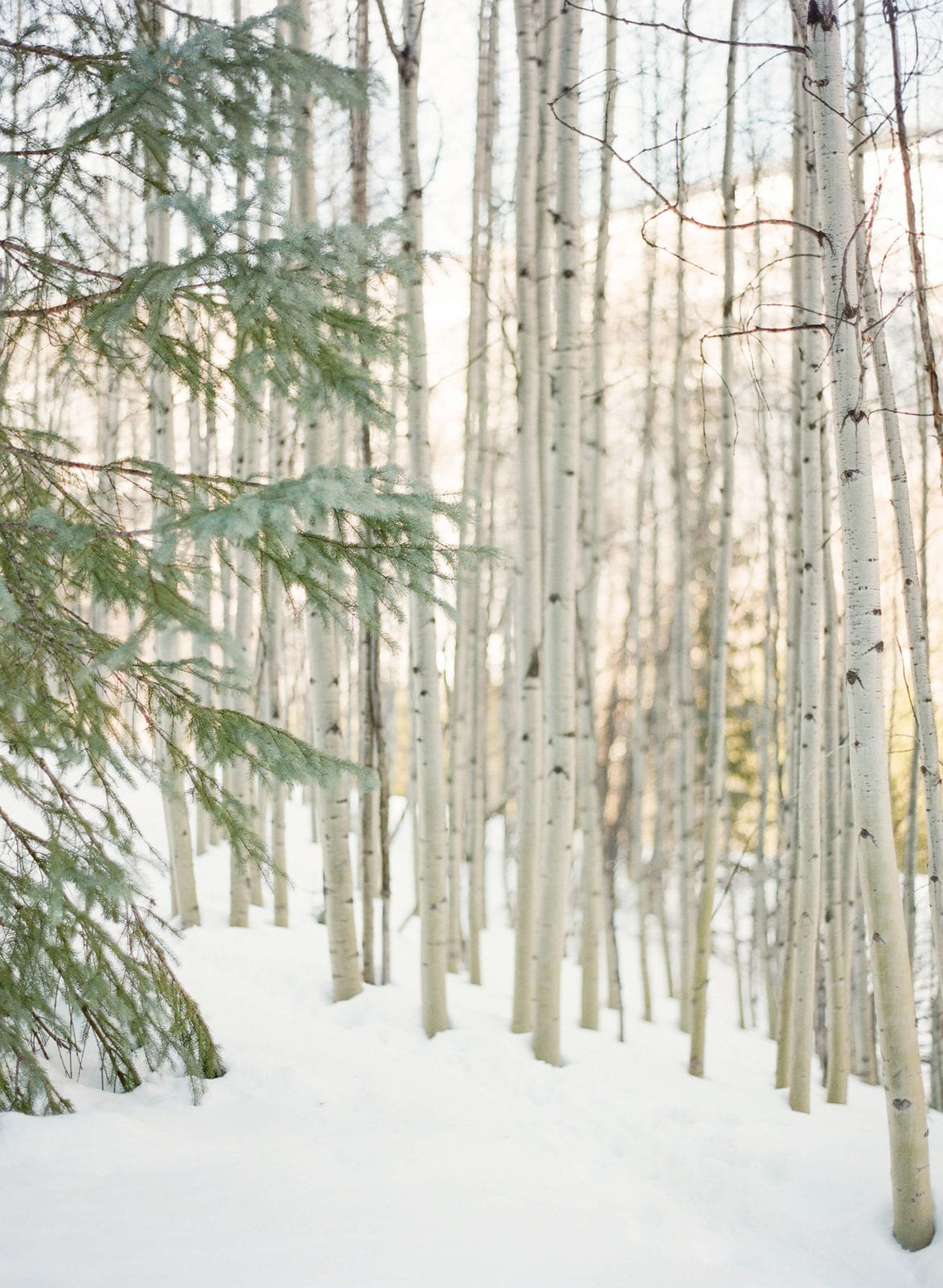 5 Tips to Create a Wonderful Winter Photoshoot