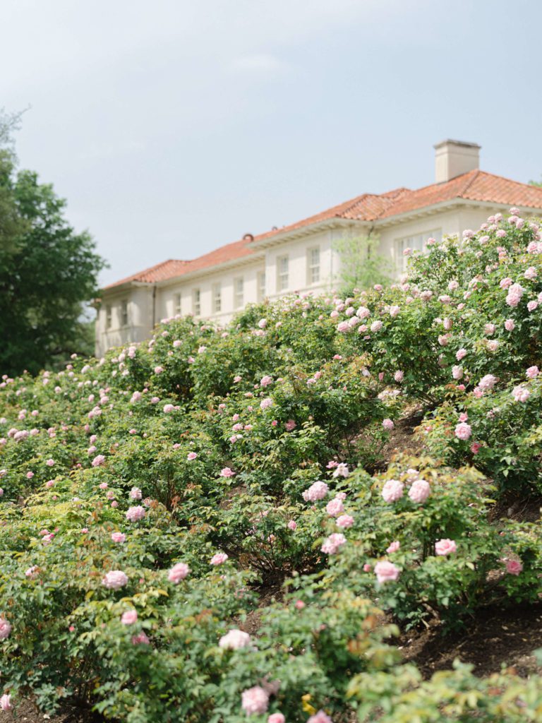 An Engagement Shoot at the Commodore Perry Estate - KT Merry